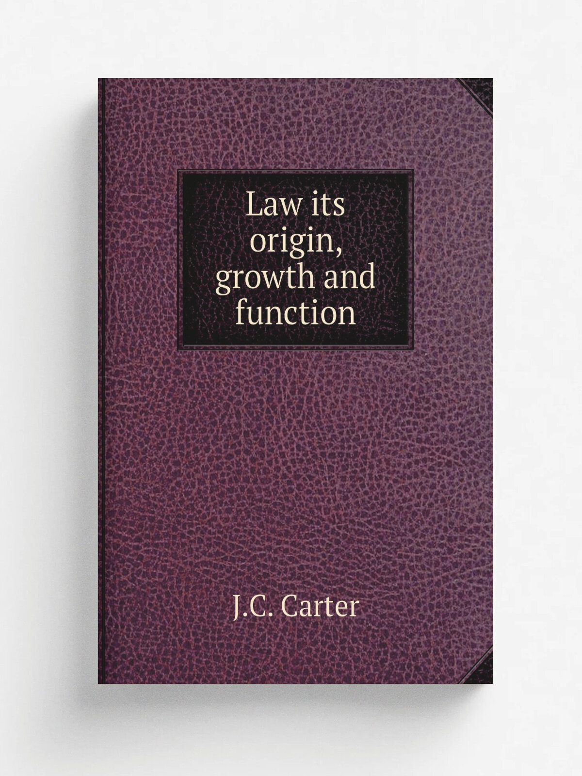 Law its origin, growth and function