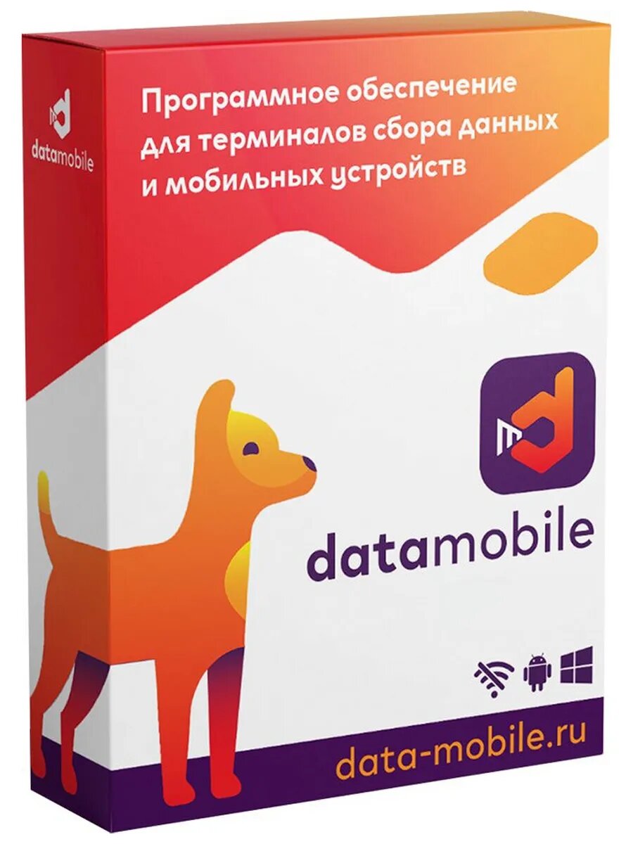 Программное обеспечение Стандарт подписка 1г. (DM12M)