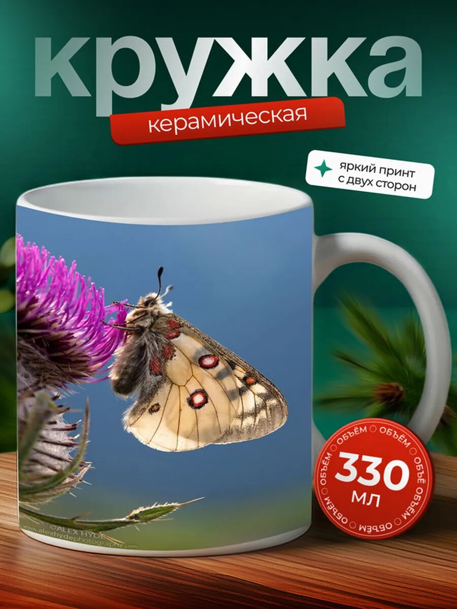 Кружка Аполлон насекомое 12,