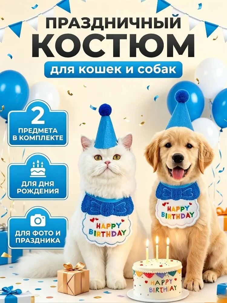 Ошейник и колпак для кошки и собаки на День Рождения