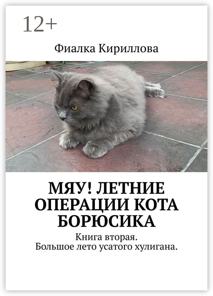 Мяу! Летние операции кота Борюсика
