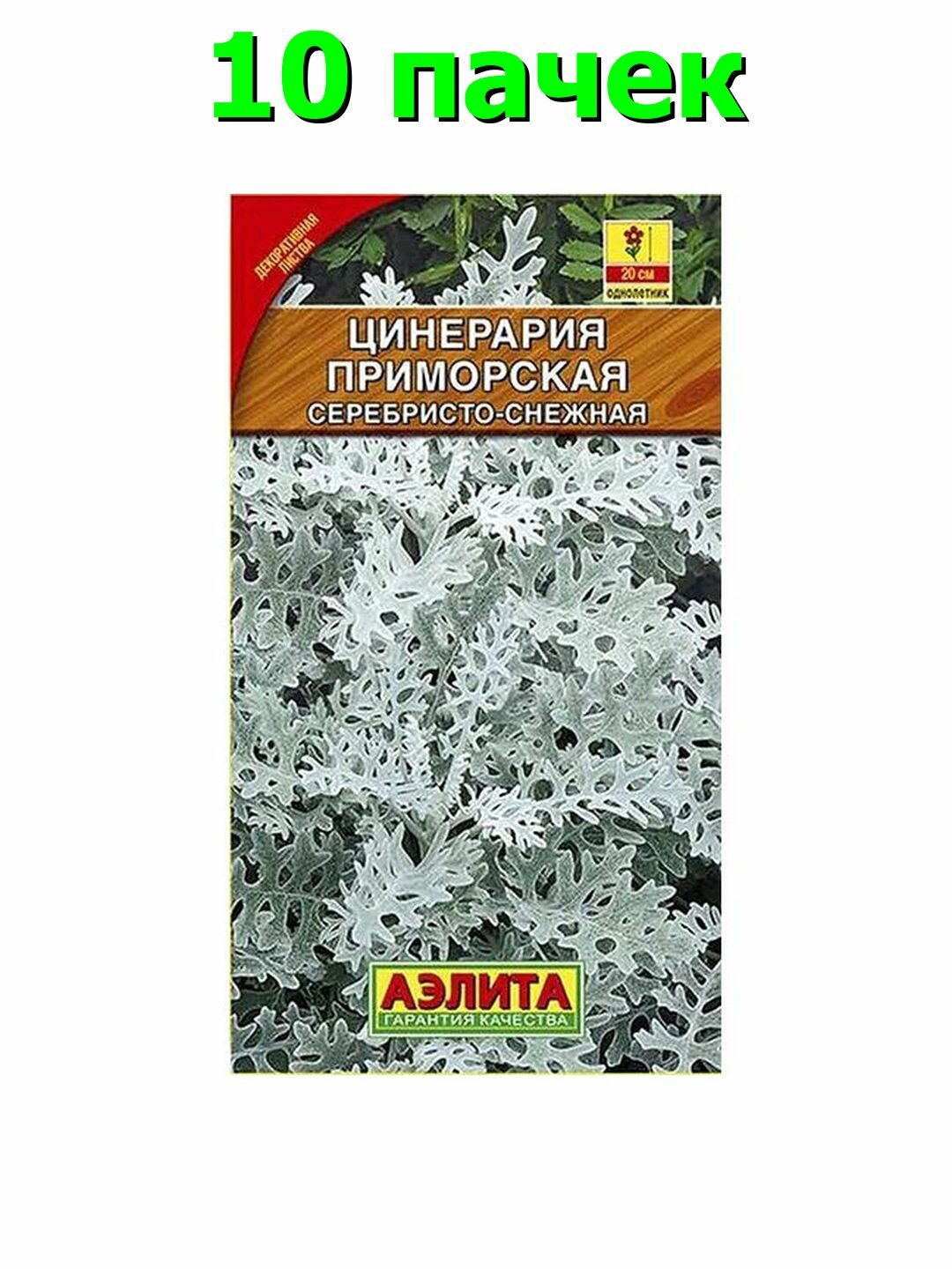 Семена Цинерария Серебристо-снежная, однолетник, Аэлита, 1 пачка - 0.05г семян