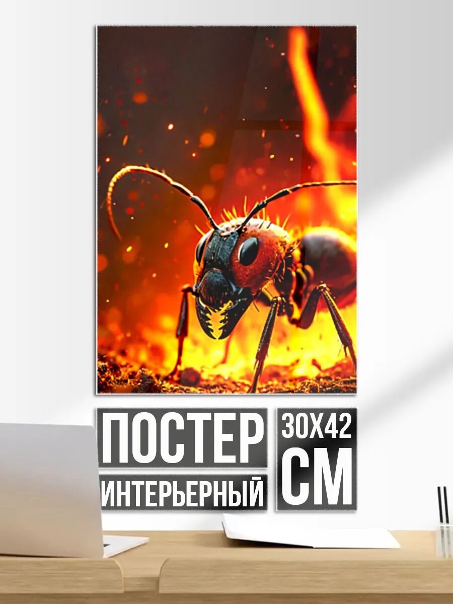 Постер на стену Огненный муравей