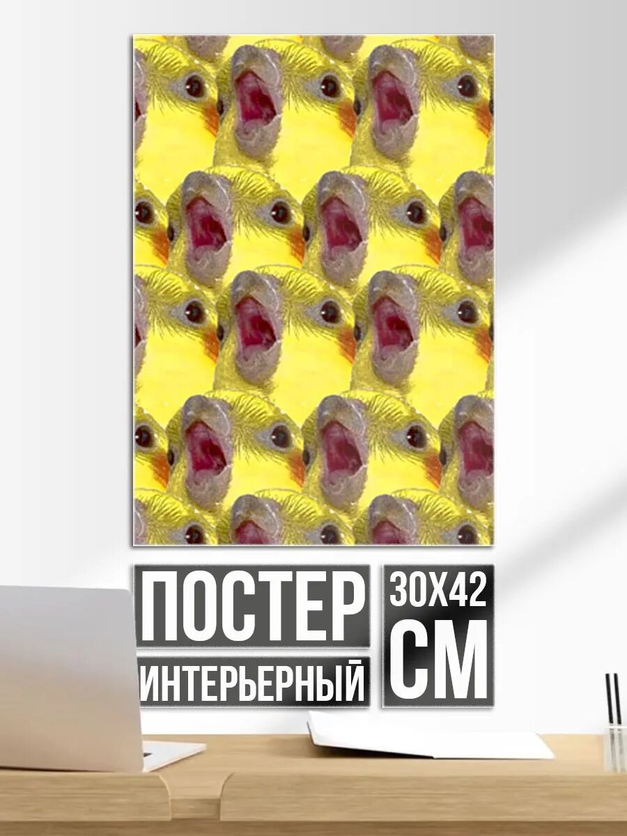 Постер на стену Попугай Корелла Орёт Мем
