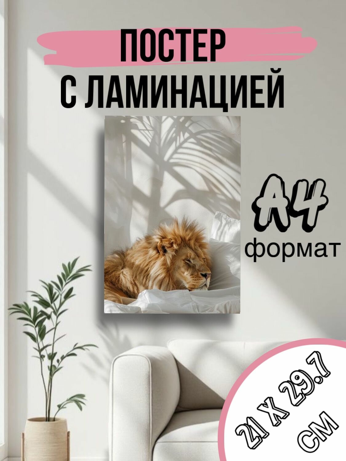 Постер
