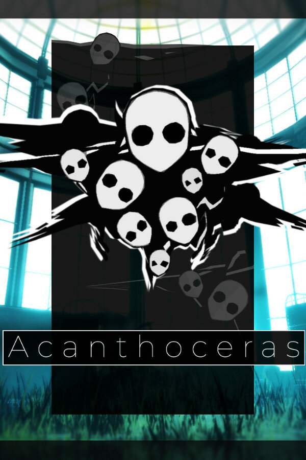 Acanthoceras, Все страны