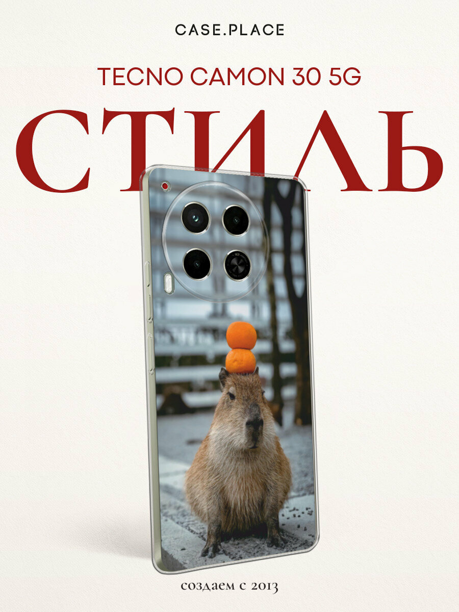 Чехол на Tecno Camon 30 5G / Текно Камон 30 5G с принтом Капибара медитирует