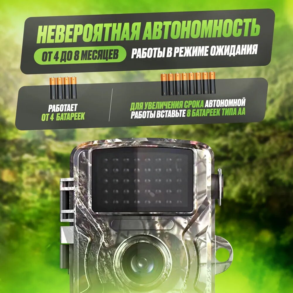 Фотоловушка — фото 1