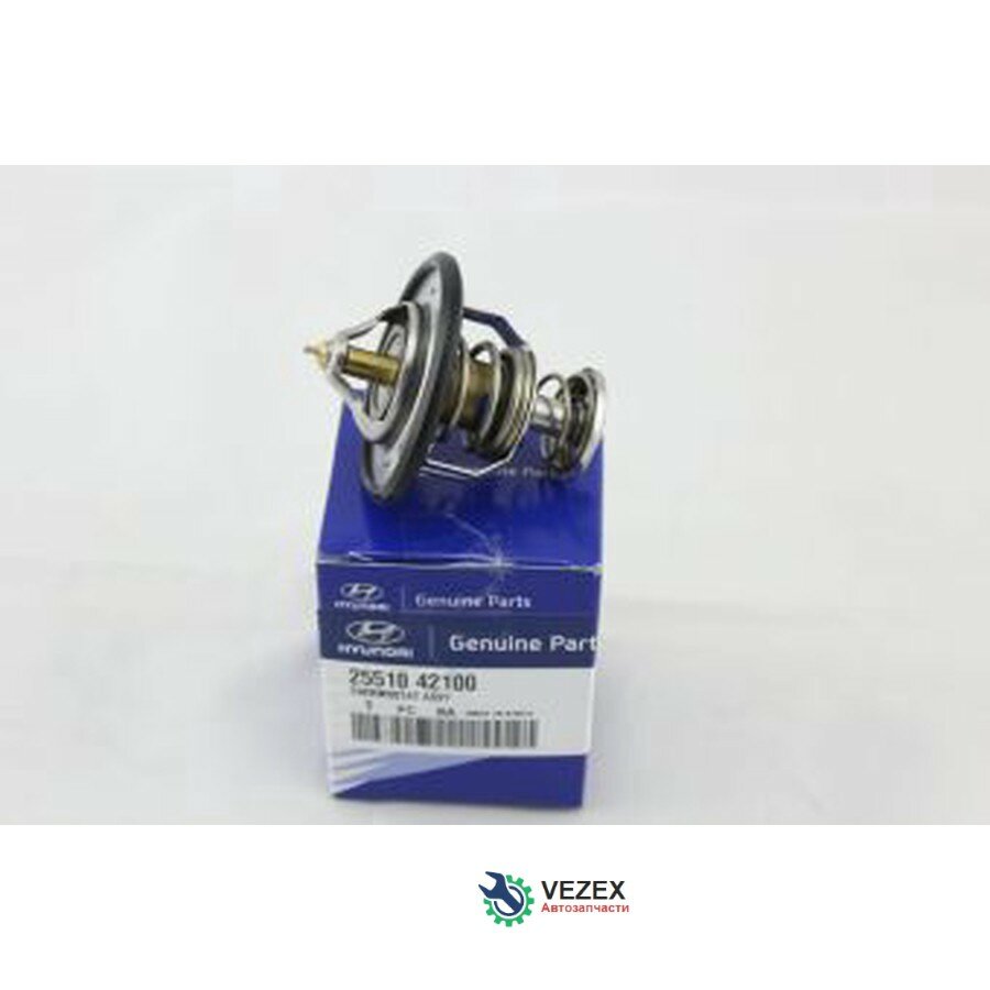 HYUNDAI-KIA 2551042100 термостат hyundai porter (тагаз)/terracan 01- 2,5td