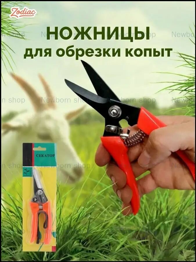 Ножницы для обрезки копыт у коз