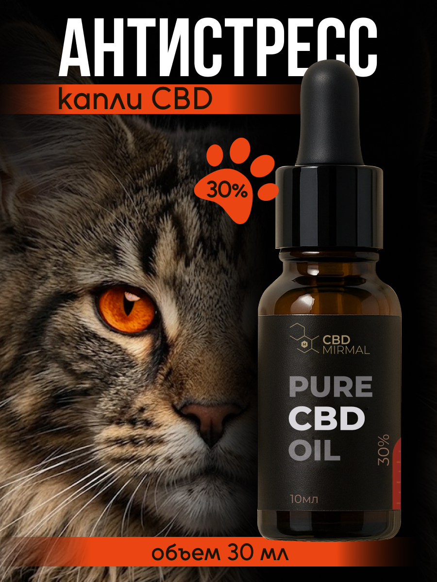 Успокоительное масло CBD для кошек крупных пород или при тяжелых заболеваниях (30%) 30 мл
