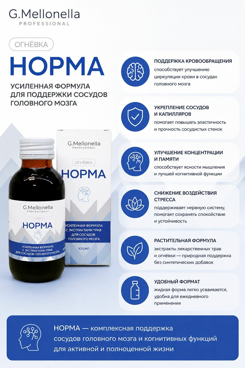 Настойка Огневка Норма, для сосудов головного мозга, 100 мл.