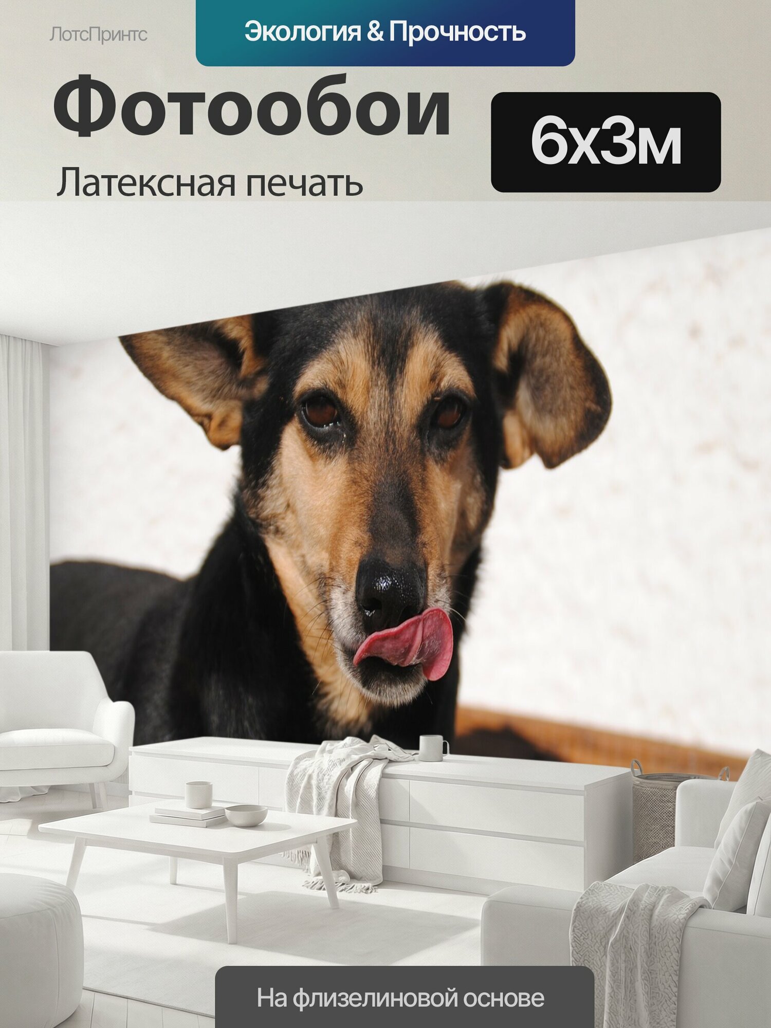 Фотообои моющиеся ударопрочные "Собака, животное, милый" 600x300 см. латексная печать