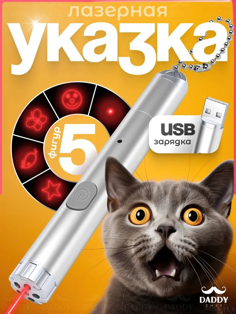 Лазерная указка 5 в 1 для кошек и собак с USB зарядкой / Игрушка для собак и кошек Daddy Chef