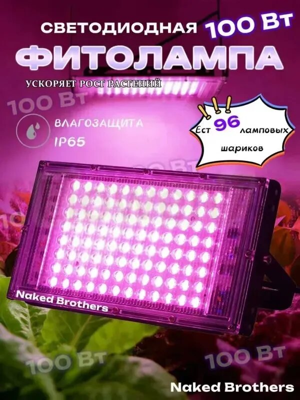 Фитолампа 100 вт, прожектор с подвеской и подставкой для растений , рассады , цветов