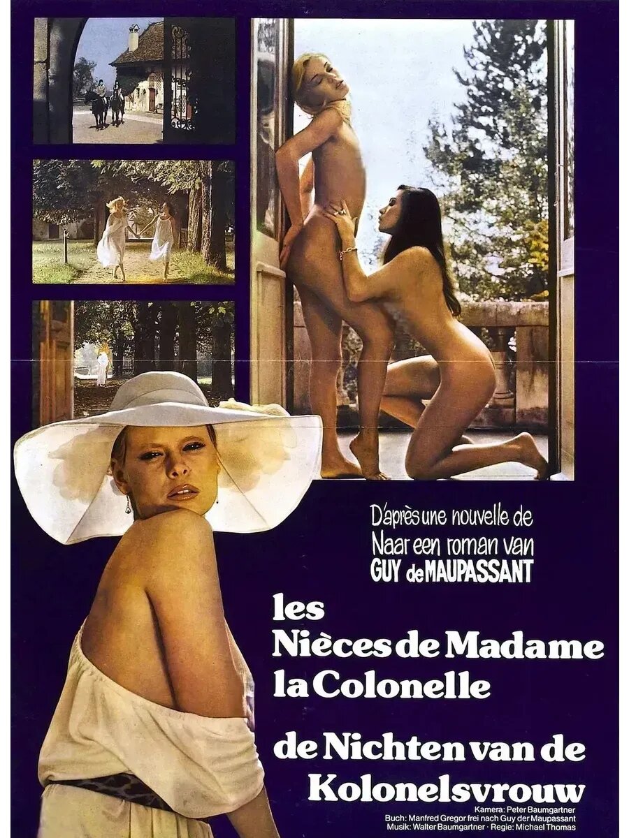 Племянницы госпожи полковницы (1980) (флешка)