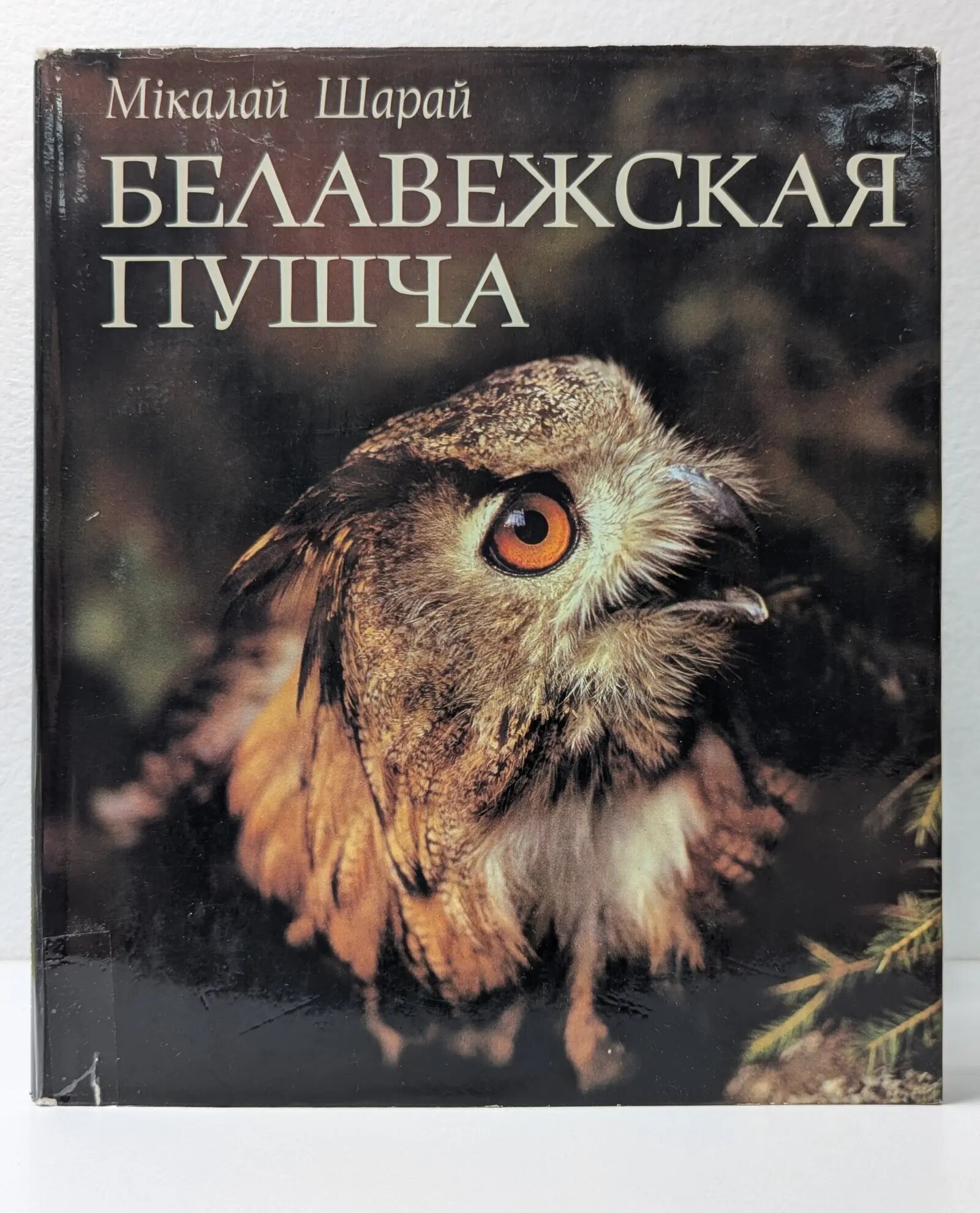 Беловежская пуща Шарай Николай Алексеевич 1980
