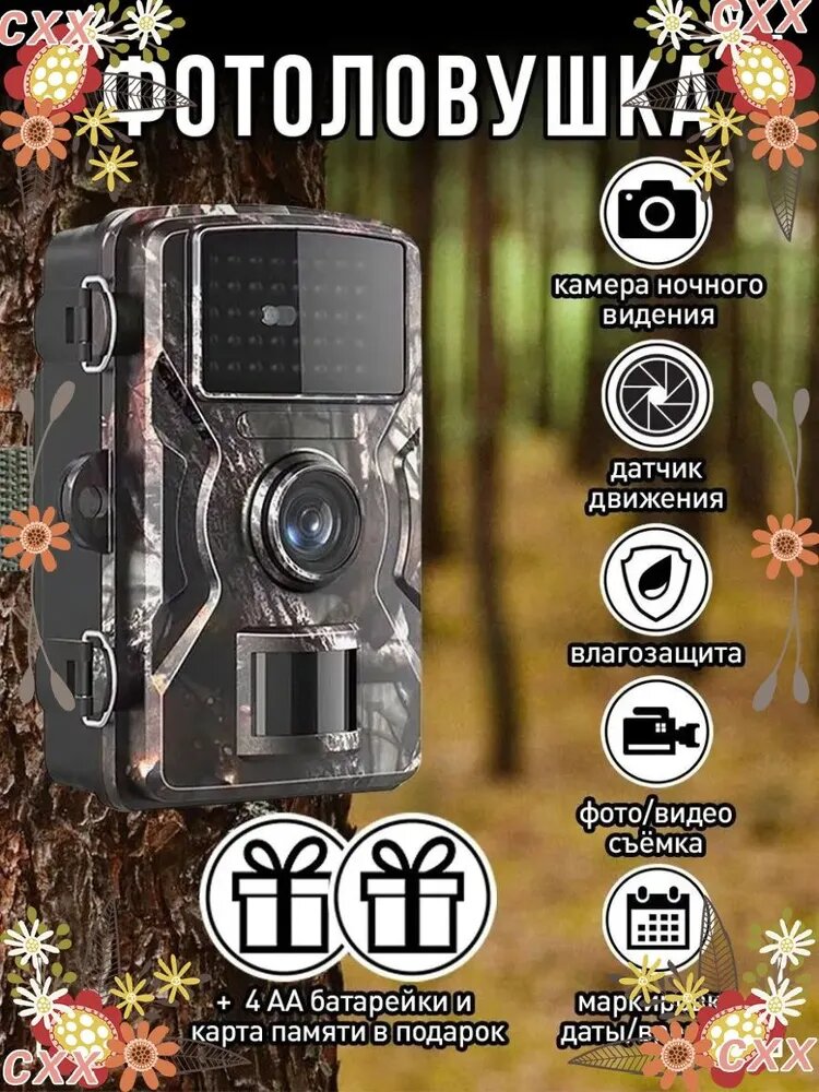 Фотоловушка