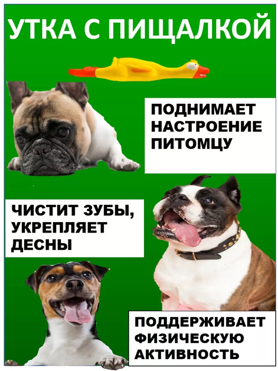 Игрушка для собак утка — фото 1