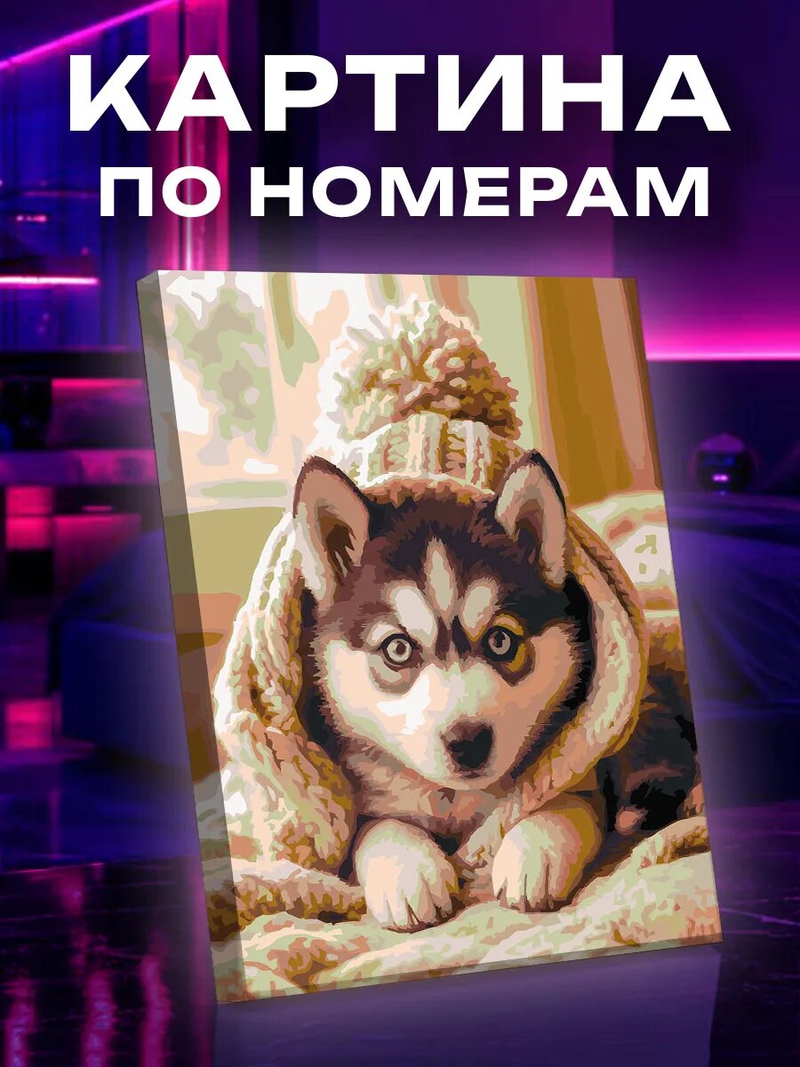 Картина по номерам Щенок хаски в шапке
