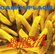 Компакт-диск Camouflage - Bodega Bohemia (CD) (1 CD)