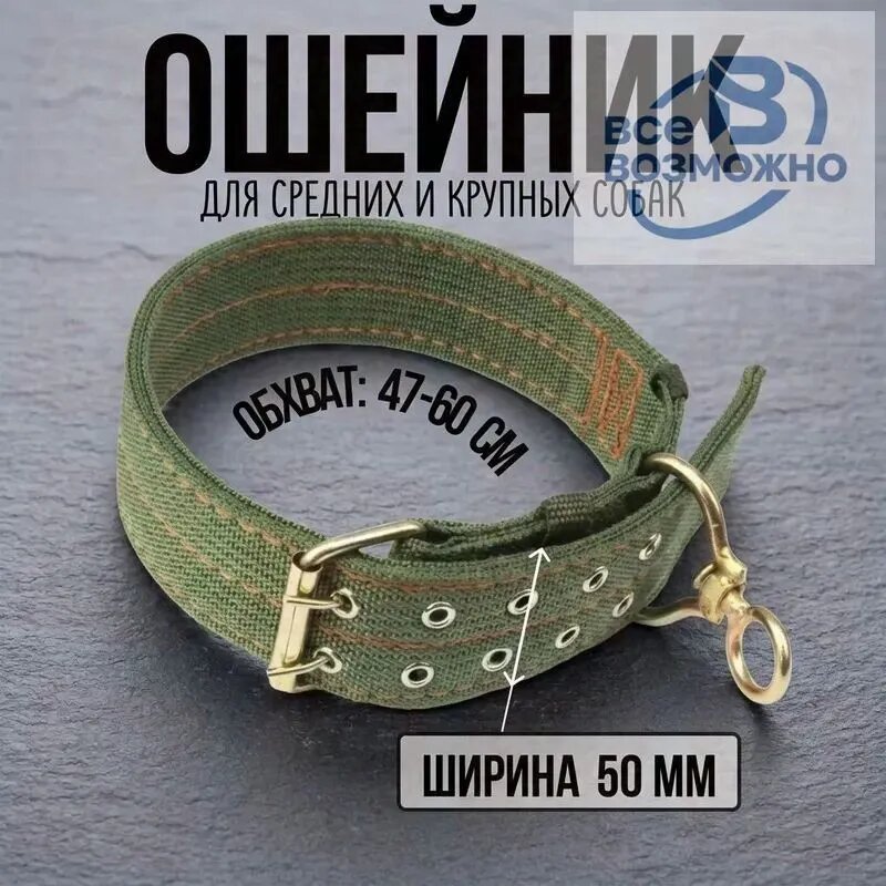 Усиленный нейлоновый ошейник для средних и крупных собак с вертлюгом, 50 мм x 70 см