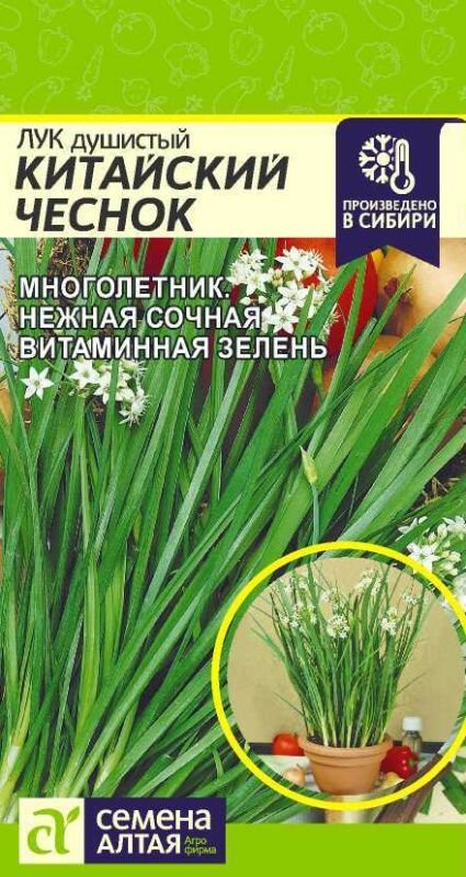 Семена Лук Душистый Китайский Чеснок /Семена Алтая/цп 0,3 гр 0,3 грамма лук чеснок