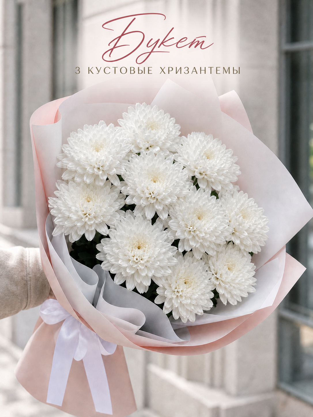 Букет 3 белые кустовые хризантемы в бело-розовой упаковке, красивый букет из хризантем, живые цветы с доставкой