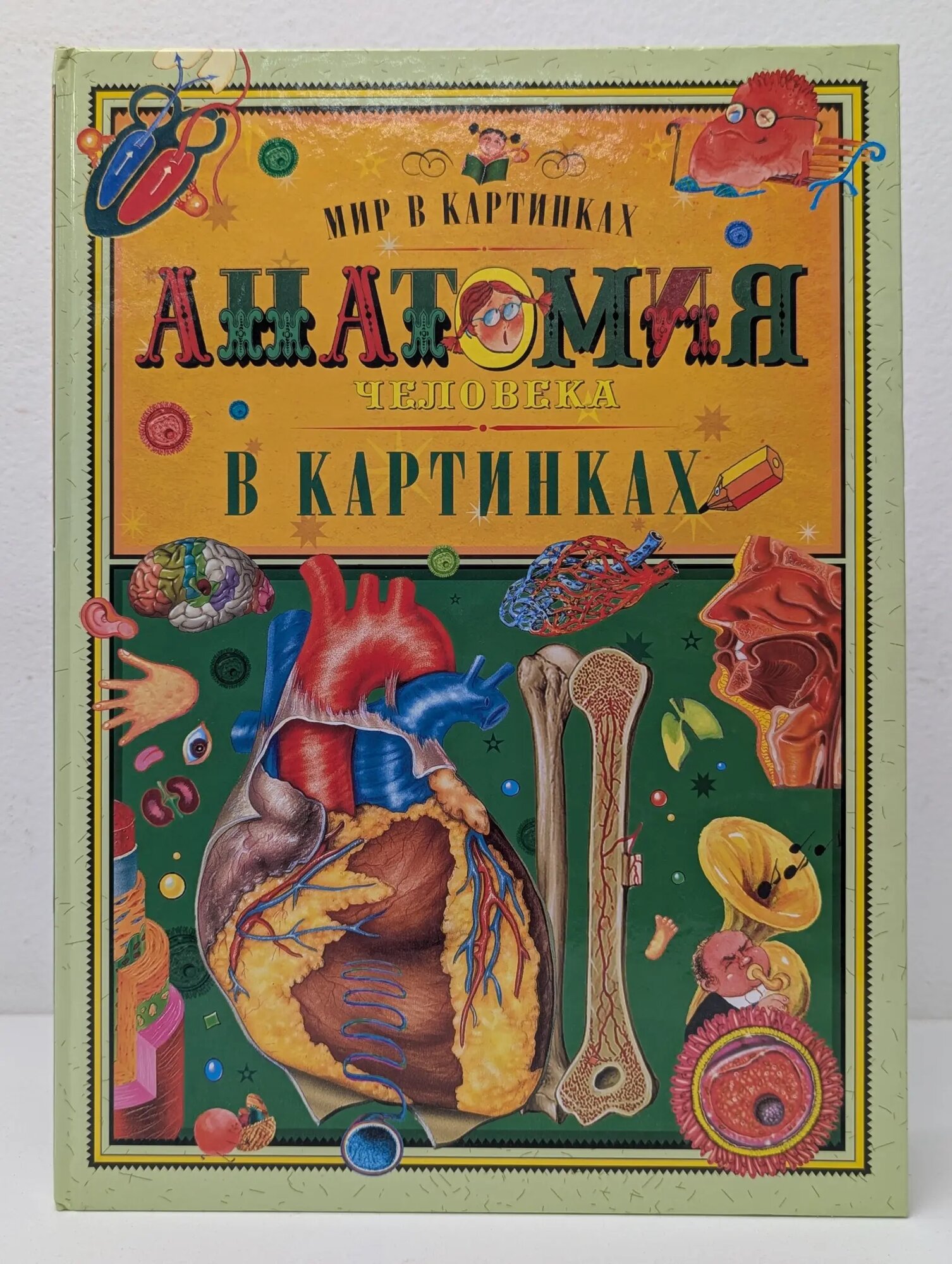 Мир в картинках. Анатомия человека в картинках Юдин Георгий Николаевич 2004