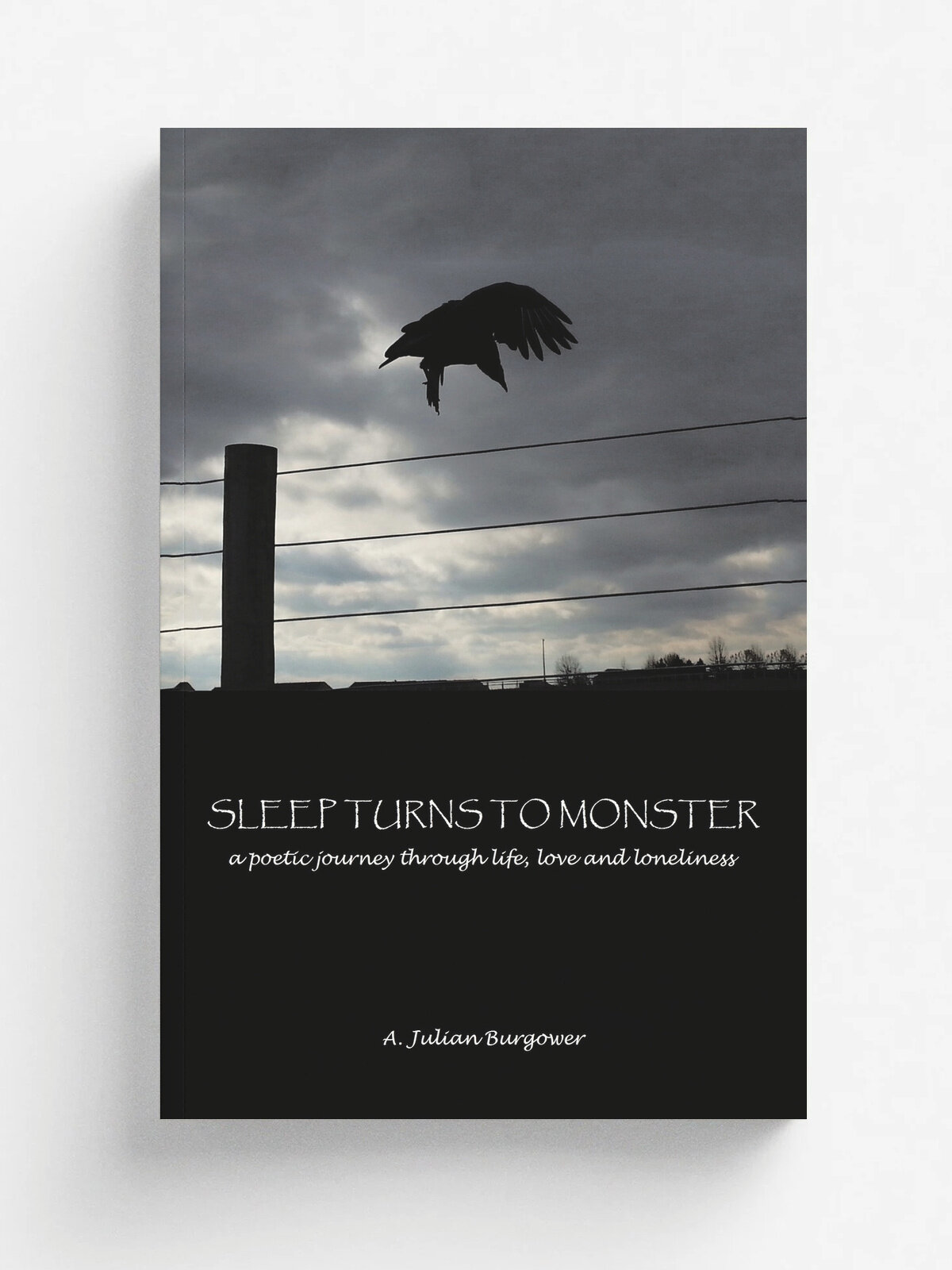 Sleep Turns to Monster. A Poetic Journey Through Life, Love and Loneliness