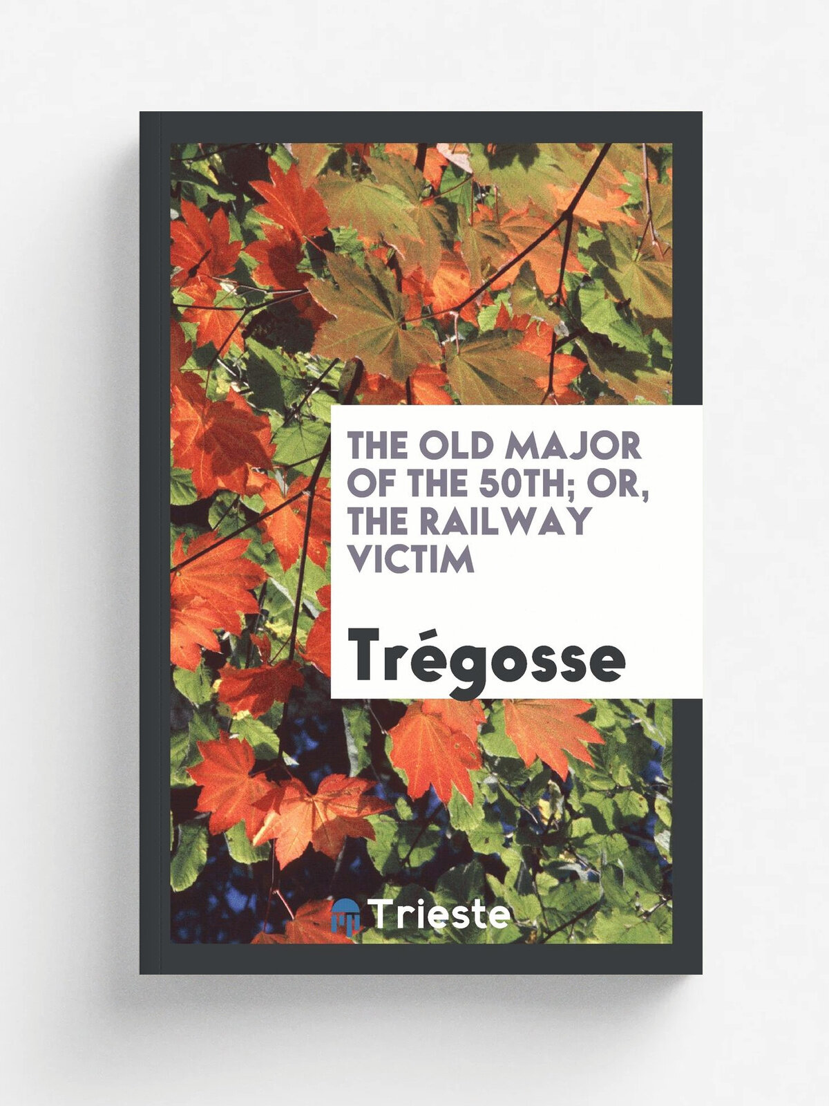 The old major of the 50th; or, The railway victim