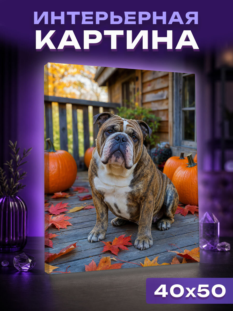 Интерьерная картина Бульдог среди осенних тыкв