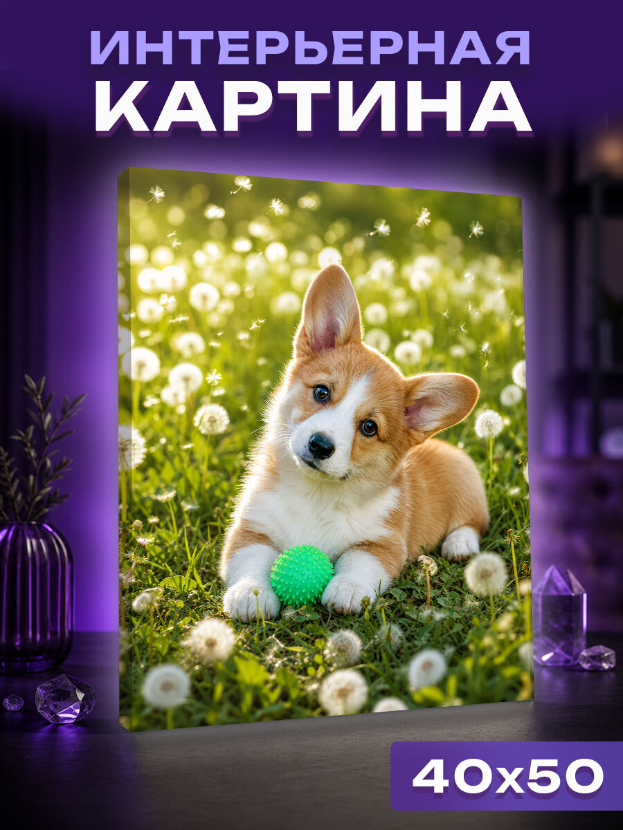 Интерьерная картина Корги среди одуванчиков