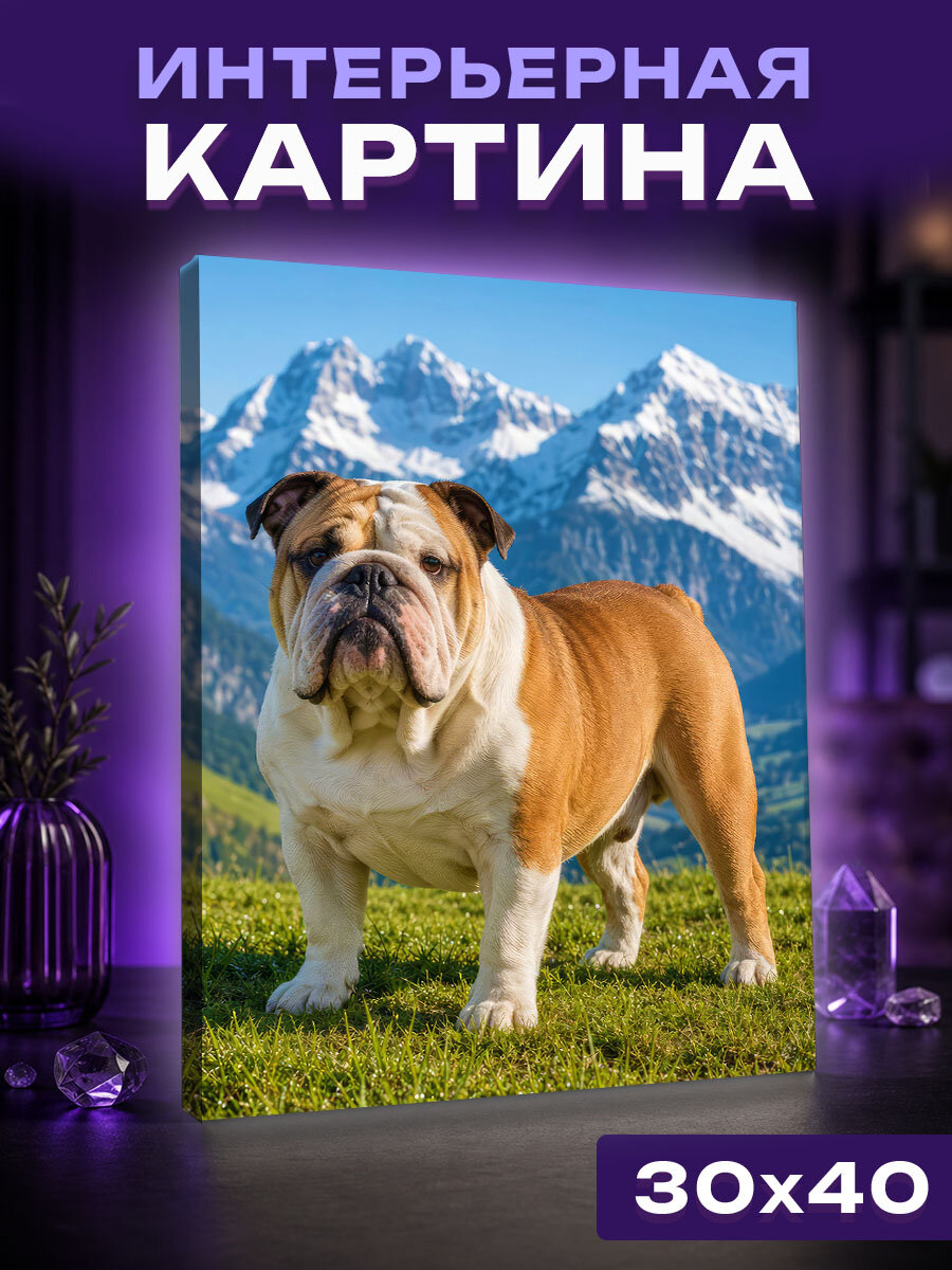 Интерьерная картина Английский бульдог на горной лужайке