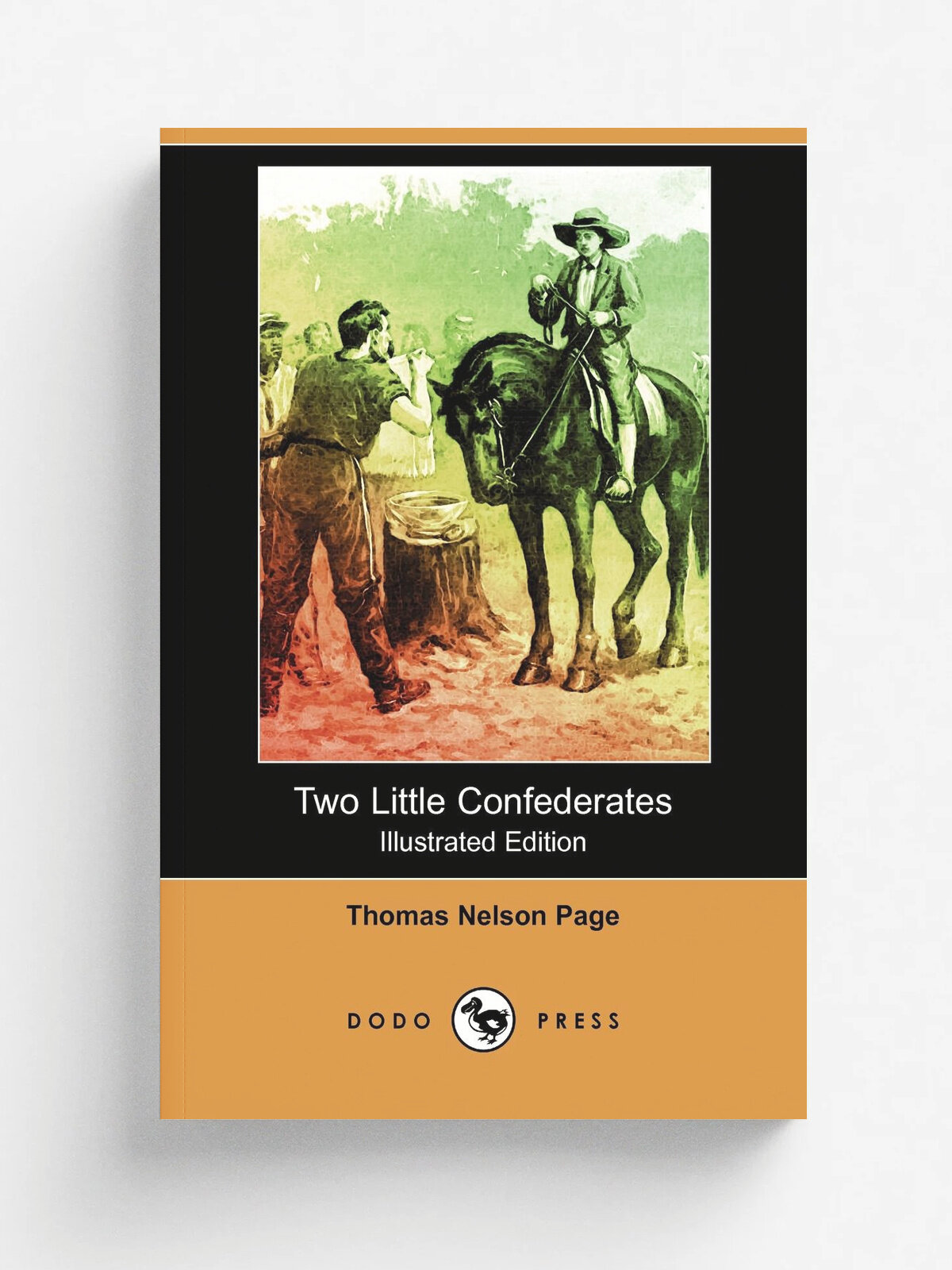 Two Little Confederates (Illustrated Edition) (Dodo Press)