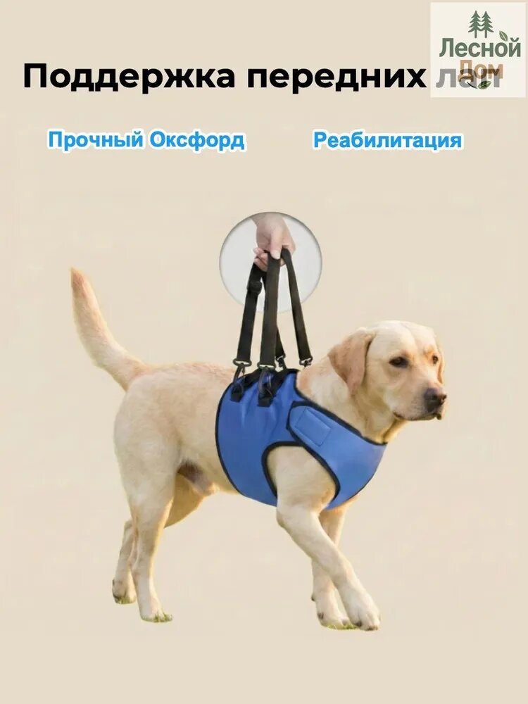 Шлейка для передних лап собак, размер L