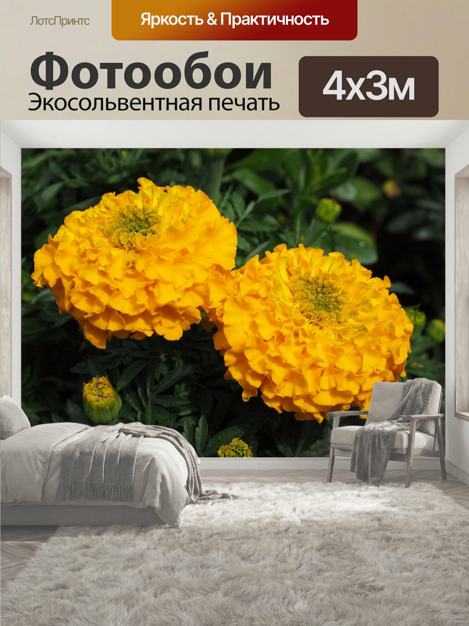 Фотообои "Бархатцы, цветок, цвести" 400x300 см. экосольвентная печать