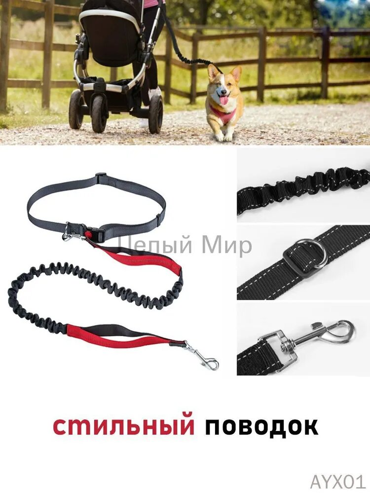 Поводок для собак, Big Jungle, с поясом для выгула, для бега с собакой, с амортизатором