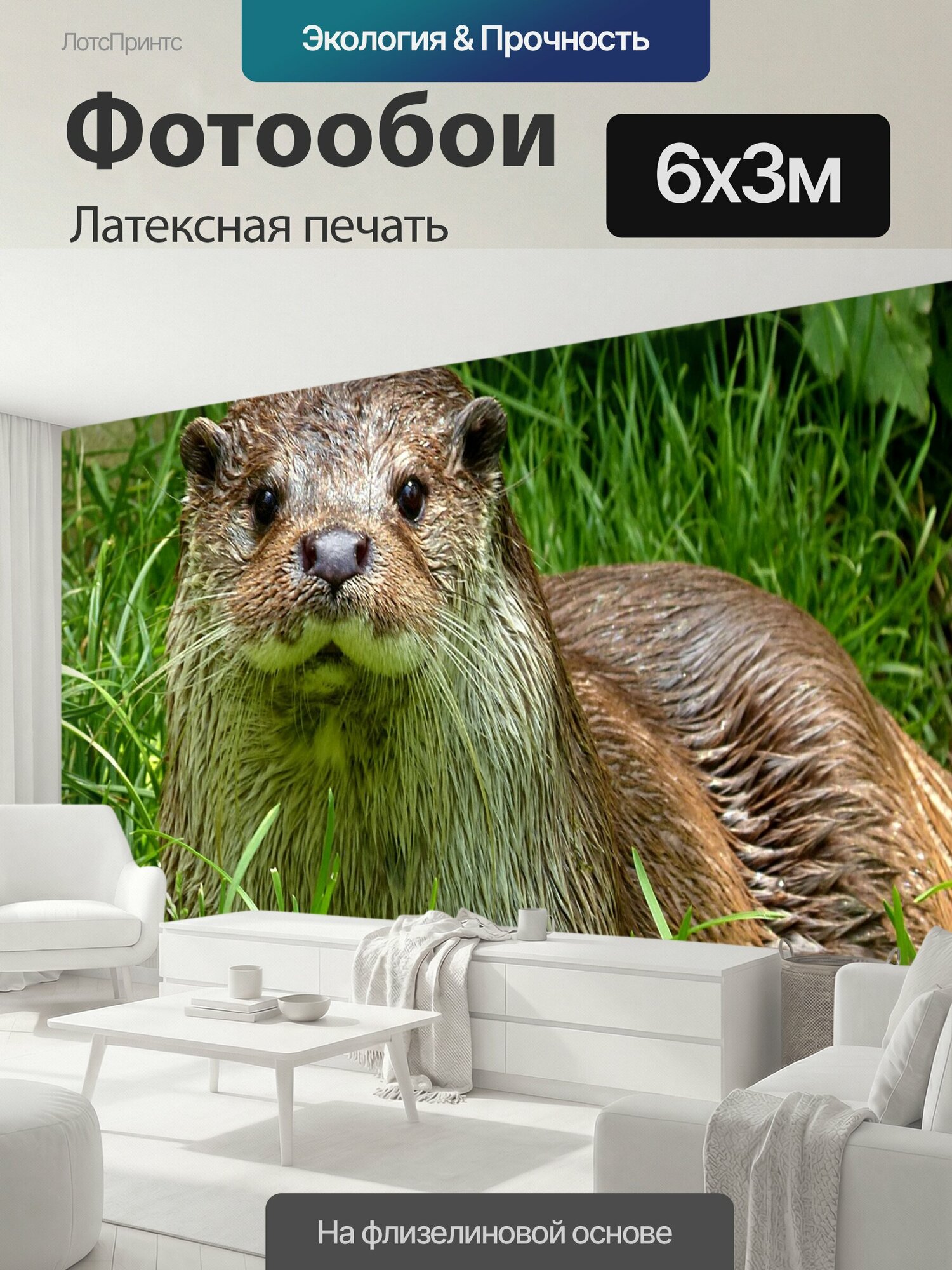 Фотообои моющиеся ударопрочные "Выдра, лутра, животное" 600x300 см. латексная печать