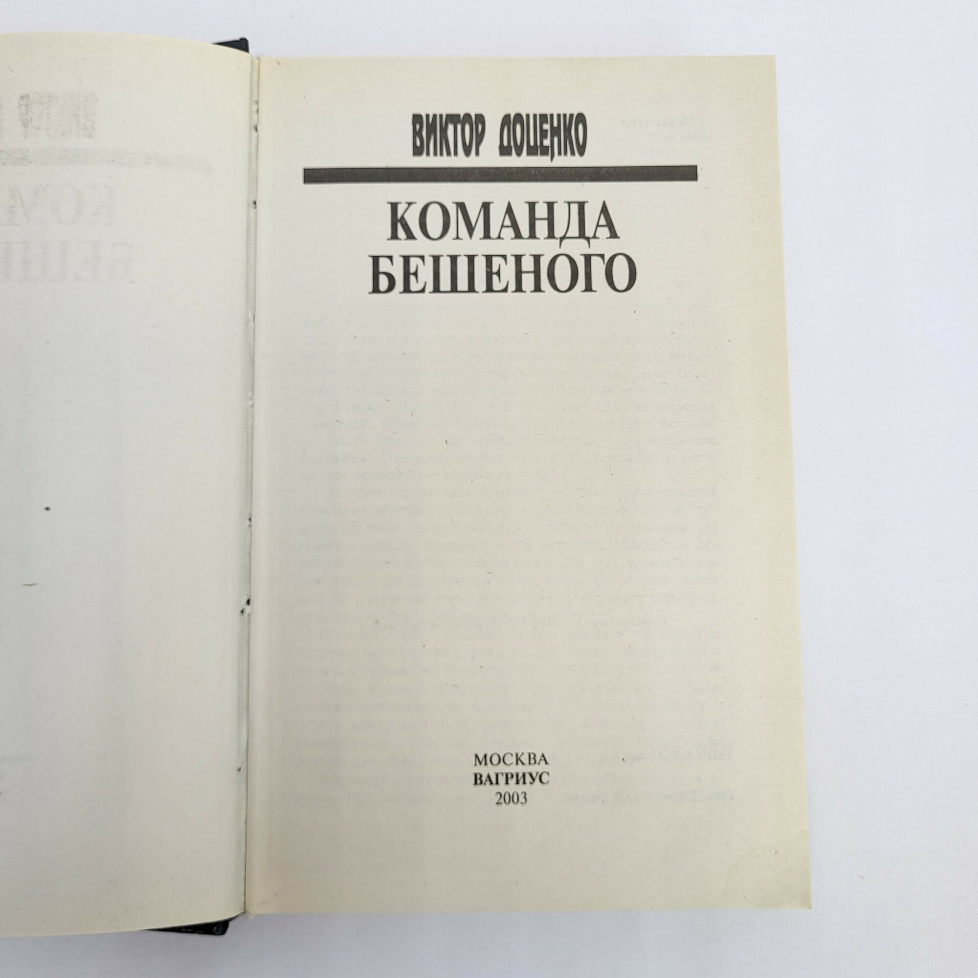Виктор Доценко. Команда бешеного. Книга, боевик — фото 1