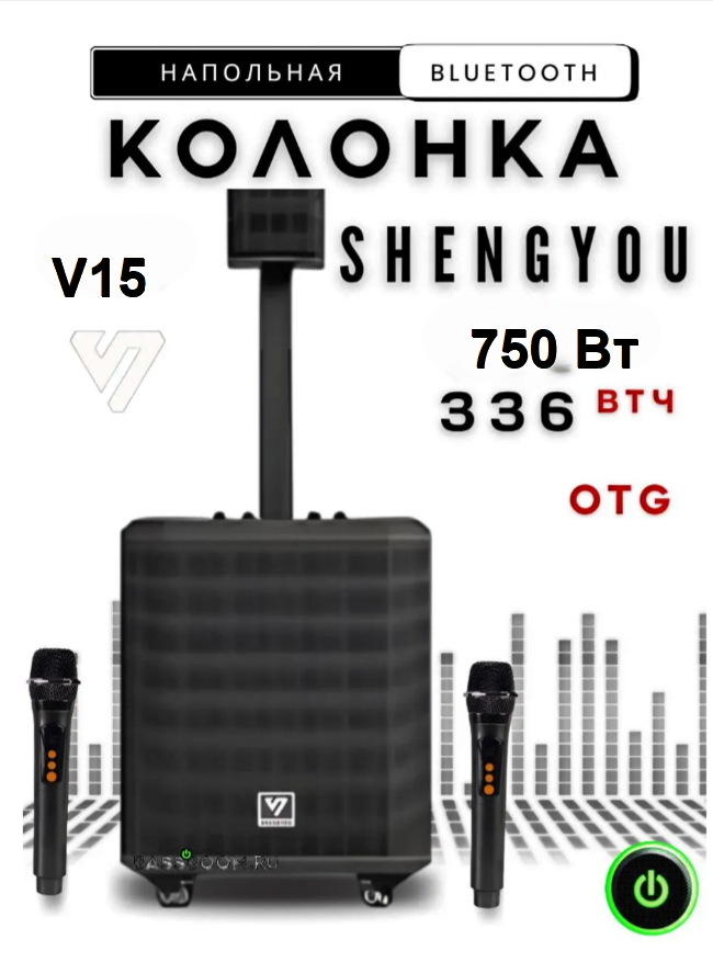 Акустическая система SHENGYOU V15 750 Вт, напольная акустика с 2 микрофонами, 750 Вт.