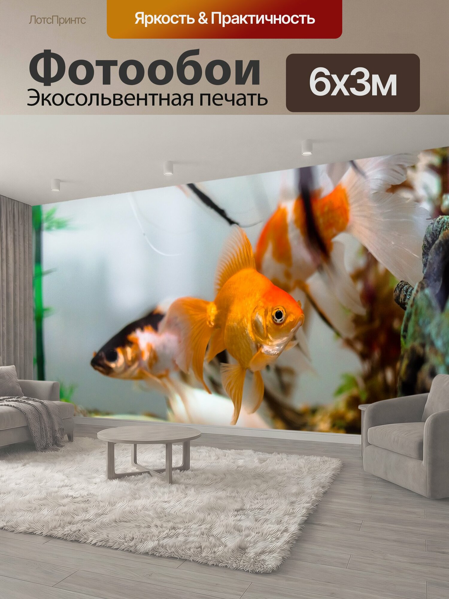 Фотообои "Аквариумы, цвет, танцовщица рыбы" 600x300 см. экосольвентная печать