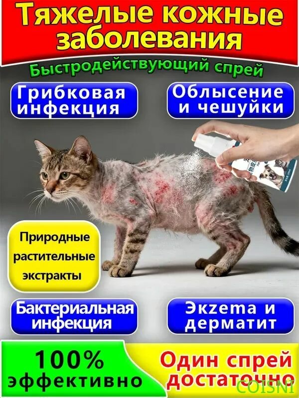 Спрей для кошек и собак от кожных заболеваний 100мл спрей от кожных болезней спрей для домашних животных