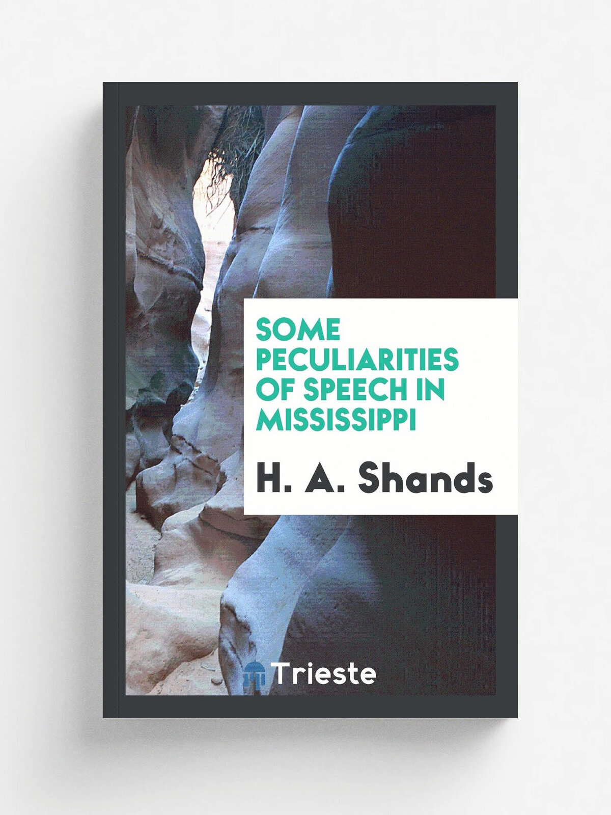Some peculiarities of speech in Mississippi