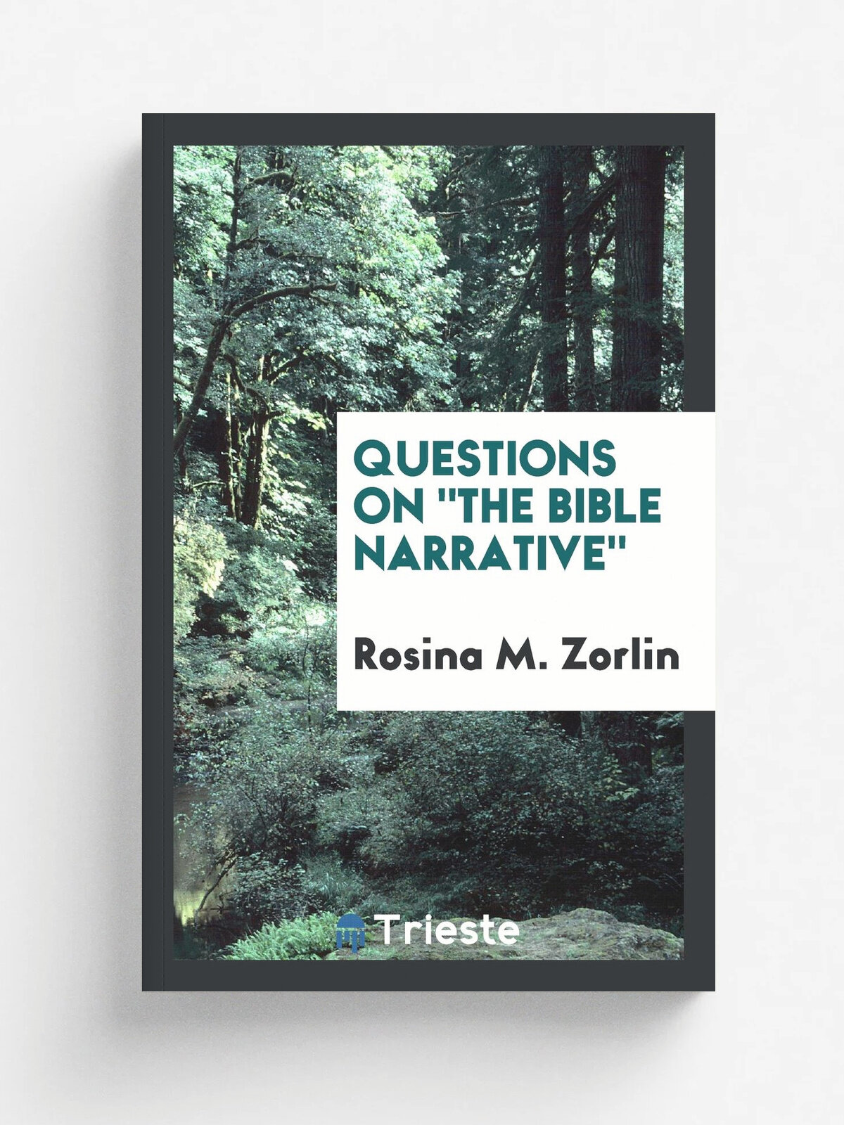 Questions on "The Bible narrative"