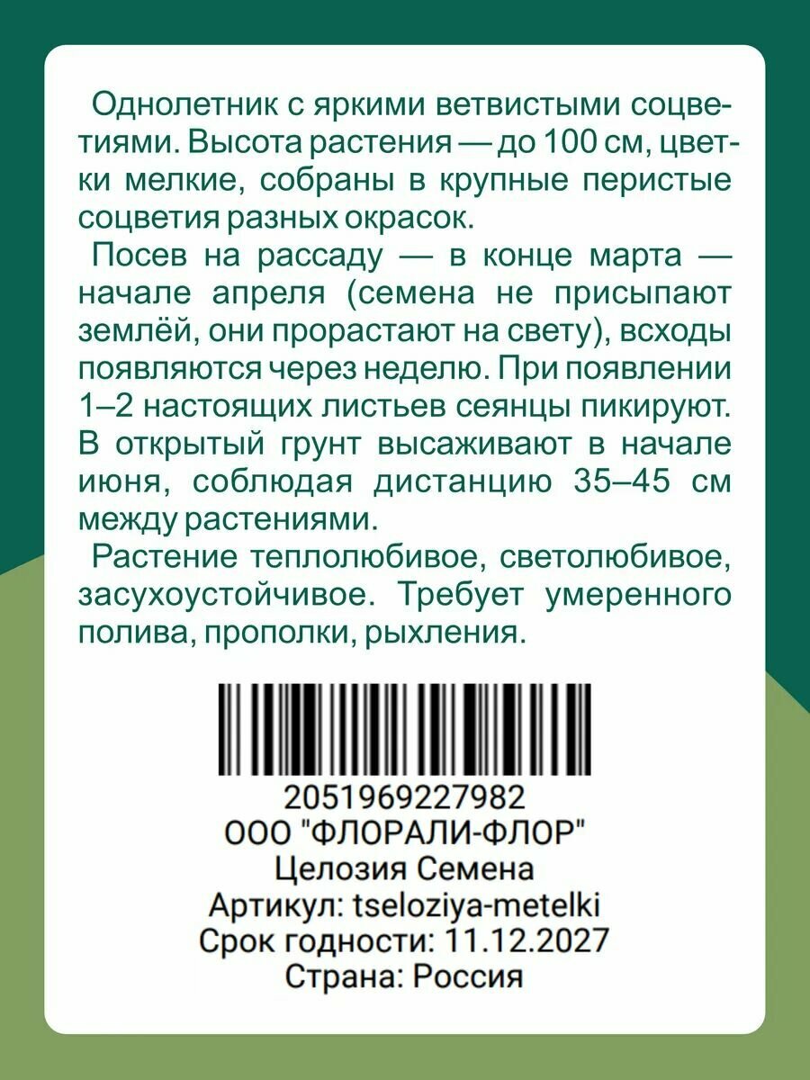 Целозия Семена — фото 1