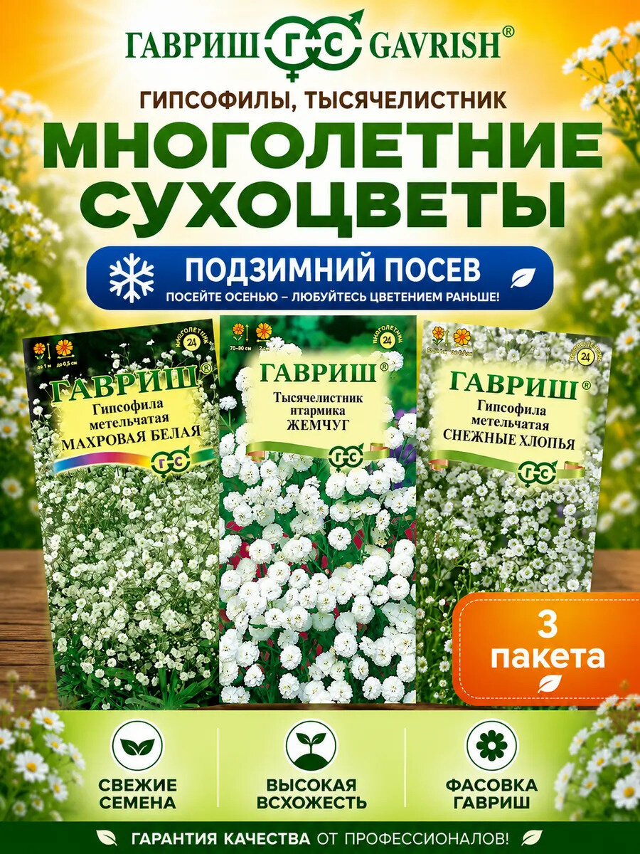 Семена многолетние сухоцветы 3 пакета