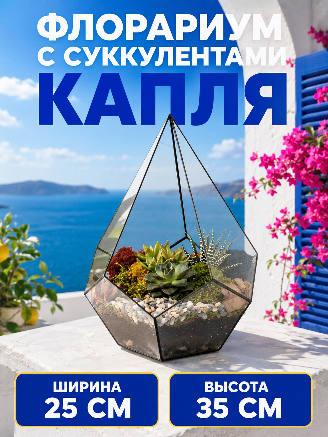 Geo Glass: Флорариум с суккулентами , живые суккуленты , подарок 37 см