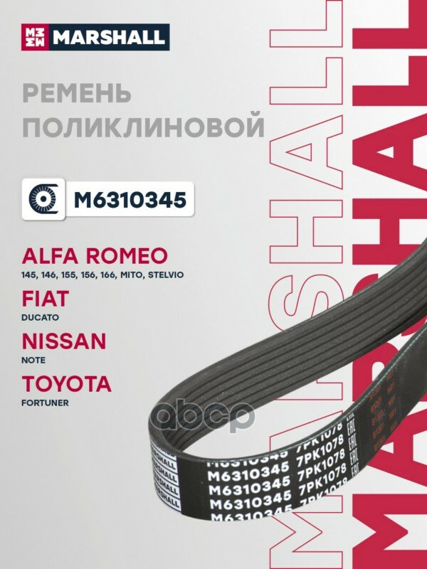 Ремень ручейковый MARSHALL арт. M6310345