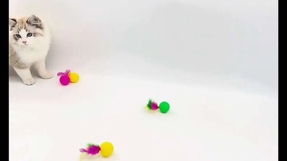 Игрушка для животных — фото 1